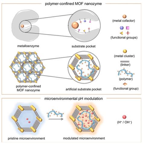 Recent Advances In Metalorganic Framework Based Nanozymes For Intelligent Microbial Biosensing