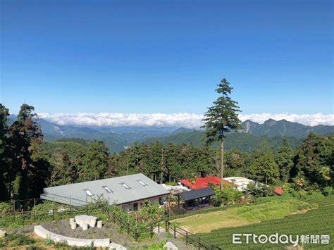 住在雲端裡！閣樓玻璃屋、磨石子溜滑梯房 全台5間仙氣森林房 Ettoday旅遊雲 Ettoday新聞雲