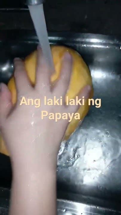 Ang Laki Laki Ng Papaya Highlights Shortvideo Viral Trending Papaya Big Wow Amazing