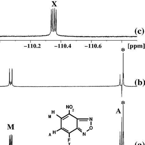 The Creation Of A Logically Labeled Pseudopure State In A Download Scientific Diagram
