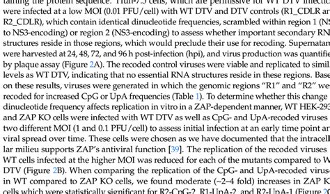 Cpg And Upa Dinucleotide Composition In Recoded Regions Of Dtv Download Scientific Diagram