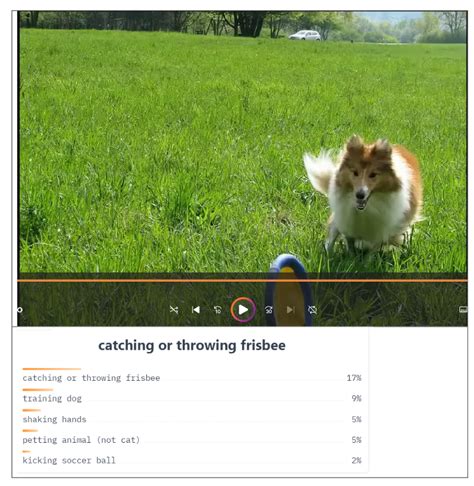 Descriptions As Ouput When Running Inference With Testsh Mit · Issue 19 · Opengvlab