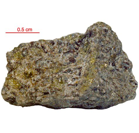 15116 10 Pyroxene Basalt