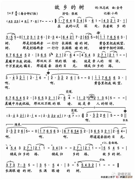 张妮《故乡的树》作词：阮志斌 作曲：金奇