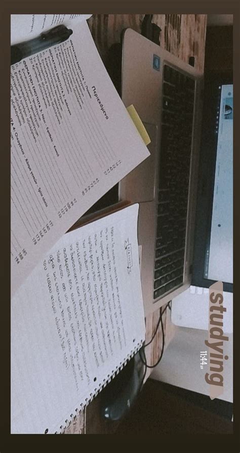 Homework Aesthetic 🐻