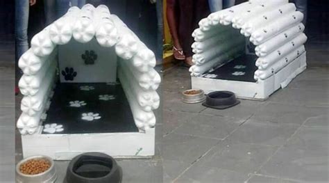 Cómo hacer casas para perros recicladas