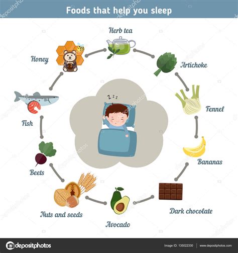 Foods That Help You Sleep Stock Vector By ©ninamunha 135022330