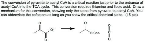Solvedthe Conversion Of Pyruvate To Acetyl Coa Is A Critical Reaction