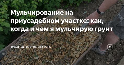 Мульчирование на приусадебном участке как когда и чем я мульчирую