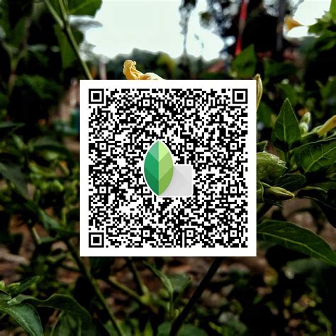 Pin By Krishna P On Snapseed Qr Code In 2023 Snapseed Tutorial