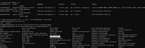 adding custom in plugins in kong enterprise edition version 3 0 0