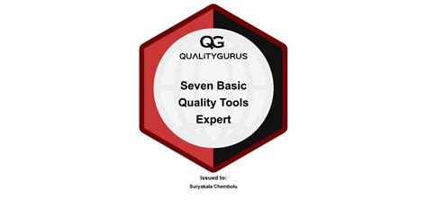 Mastering Seven Basic Quality Tools Excel Quality Gurus Inc