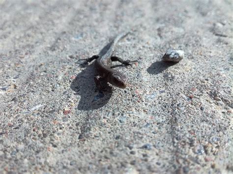 Ушу в Тольятти центр «У Дэ Сегодня день рождения у инструктора нашего центра Ольги