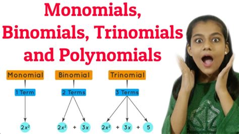 Monomialsbinomials Trinomials And Polynomials In Algebraalgebraic Expressionssmart Learning
