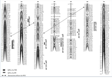 Qtl Map For Pc And Ws In Barley Qtl For Pc And Ws Are Marked With Grey