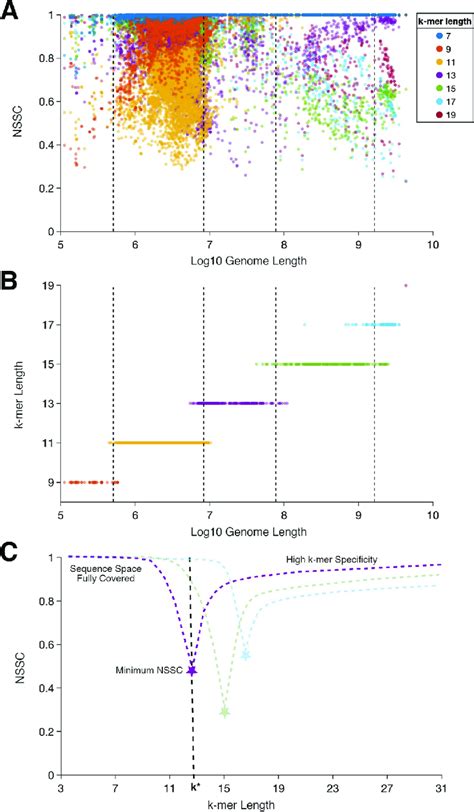 Normalized Sequence Space Coverage Nssc Of Genomes Attains A Minimum Download Scientific