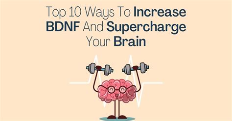 Top 10 Ways To Increase Bdnf And Supercharge Your Brain Strongest