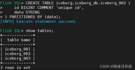 第二章 Flink集成iceberg的集成方式及基本sql使用iceberg01 Hive312 Flink114 Csdn博客