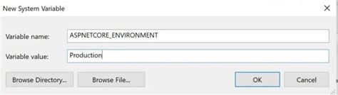 Set Up ASP NET Core Environment For Publish TheCodeBuzz