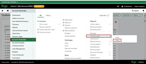 Step By Step Tutorial To Reverse Customer Aging Report In Sage Intacct