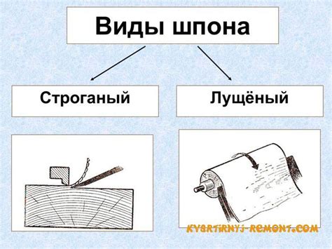 Что лучше - шпон или экошпон?
