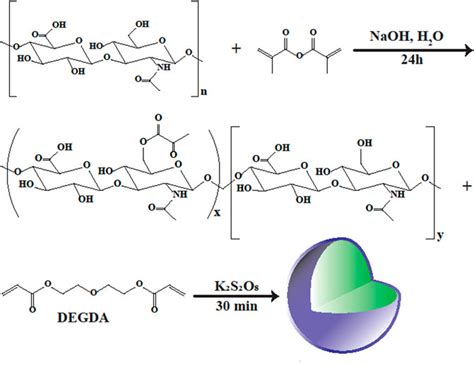 Frontiers Hyaluronic Acid Based Nanomaterials As A New Approach To