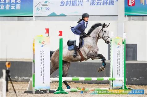 2024年北京市青少年马术冠军赛举行京报网