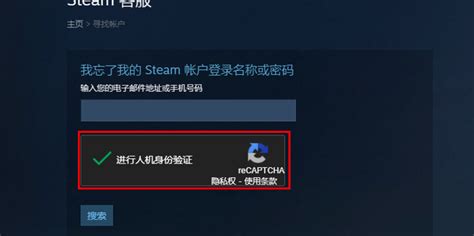 Steam提示captcha验证失败怎么办 电脑软件 360新知