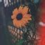 Sunflowersonly Tumblr Com Tumbex