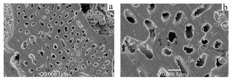 Cu Nanowires And Nanoporous Ag Matrix Fabricated Through Directional Solidification And