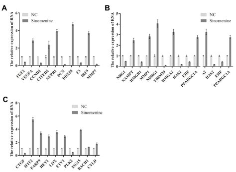 The Relative Expression Of Fgf2 Ccnd2 Dcn F3 Mmp7 Nrg1