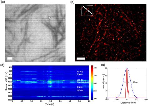 Bright Field Optical Micrograph Of Aips Amyloid Inspired Peptides