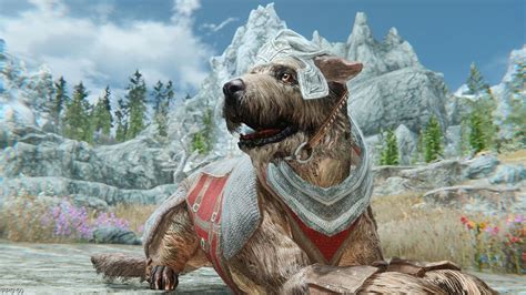 Dog Armor Request And Find Skyrim Non Adult Mods Loverslab
