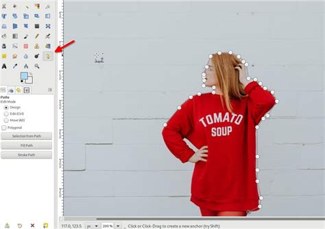 Ways To Remove Background In Image Using GIMP