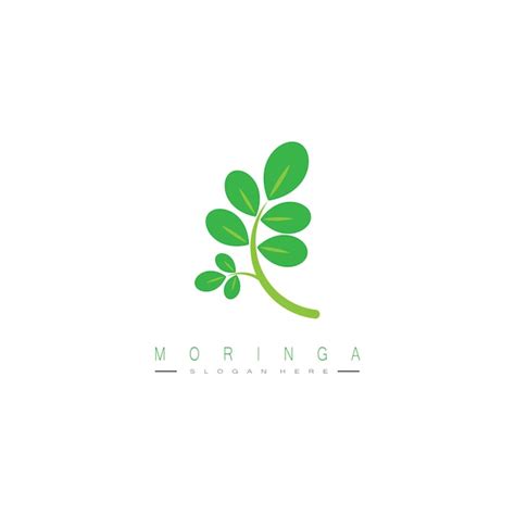 Premium Vector Moringa Leaf Nature Icon Vector Illustration Template