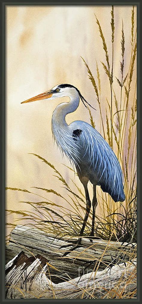Blue Heron Drawing At Edward Calvo Blog