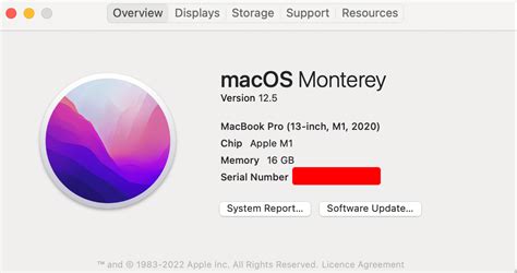 Vscode Becomes Laggy After Using It For Some Time Macos Ventura · Issue 165016 · Microsoft