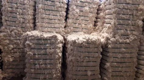 Cotton White Comber Noil For Textile Industry At ₹ 107kg In Indore