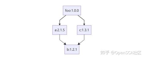 技术文档丨 Opensca技术原理之npm依赖解析 知乎
