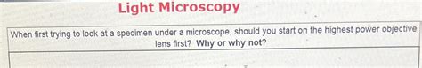 Solved Light MicroscopyWhen First Trying To Look At A Chegg