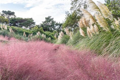 함평 출신 연예인 프로필 모음 아이돌 가수 배우 여배우 남배우 여자 배우 남자 배우 남자 연예인 여자 연예인 여가수 남가수 야구선수 축구선수 개그맨