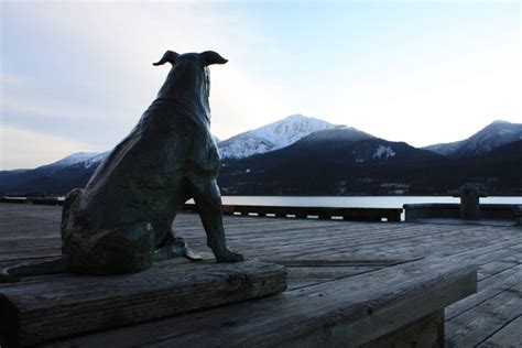 ‘patsy Ann Of Alaska Finds A New Home After Being Left Astray Juneau