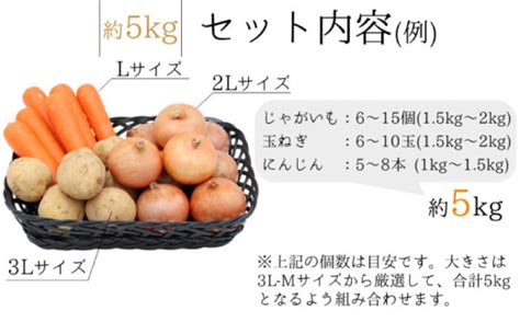 【定期便6回コース】 じゃが玉人参セット 約5kg じゃがいも・玉ねぎ・人参の定番野菜 3品目の野菜詰め合わせ 夏季は7〜8品目 野菜 セット