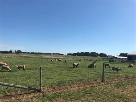 Parasites Osu Small Ruminant Team