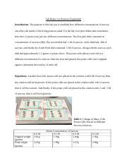 Osmosis Lab Report Final Docx Lab Report On Osmosis Experiment Introduction The Purpose Of