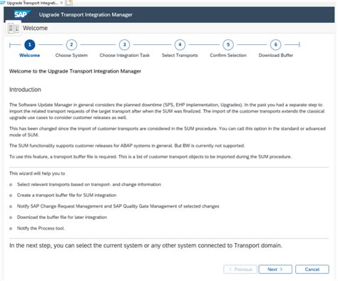 including customer transports in sum upgrade procedure