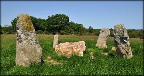 Robinstown Great Stone Circle Wexford