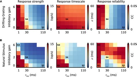 Interplay Between Push Pull Inhibition And Feedforward Depression Download Scientific Diagram