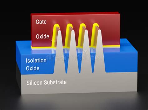 Finfet Transistor Structure Front View Fin Field Effect Transistor Is