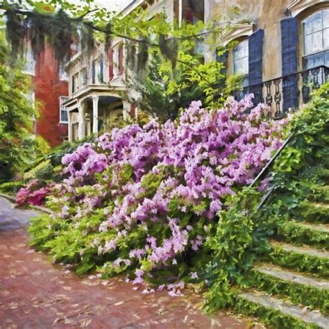 Savannah Stroll History Walking Tour Discount Admission Tickets Tour Pass